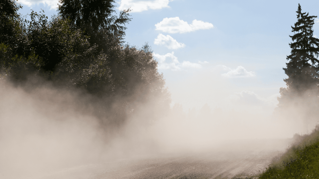 9 Tips for Avoiding Rural Road Risks - Road Sense Australia