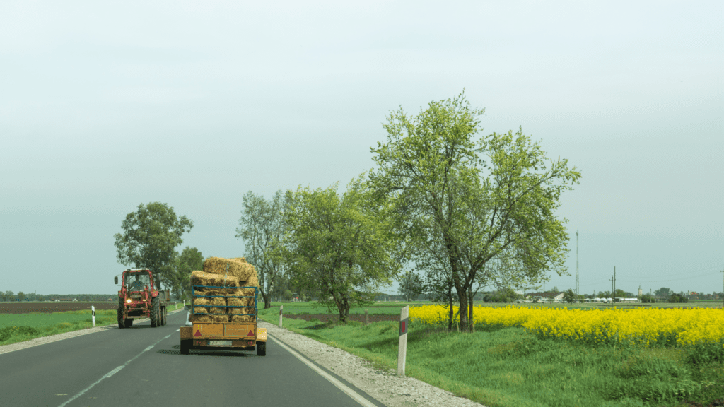 9 Tips for Avoiding Rural Road Risks - Road Sense Australia