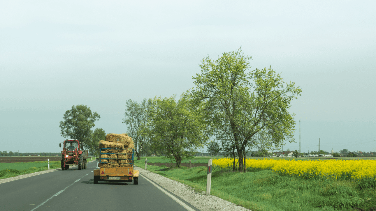 9 Tips for Avoiding Rural Road Risks - Road Sense Australia